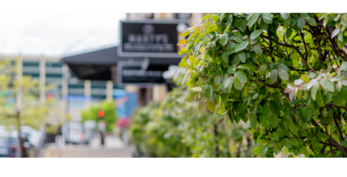 Careers in Banking and Finance | Choice Bank